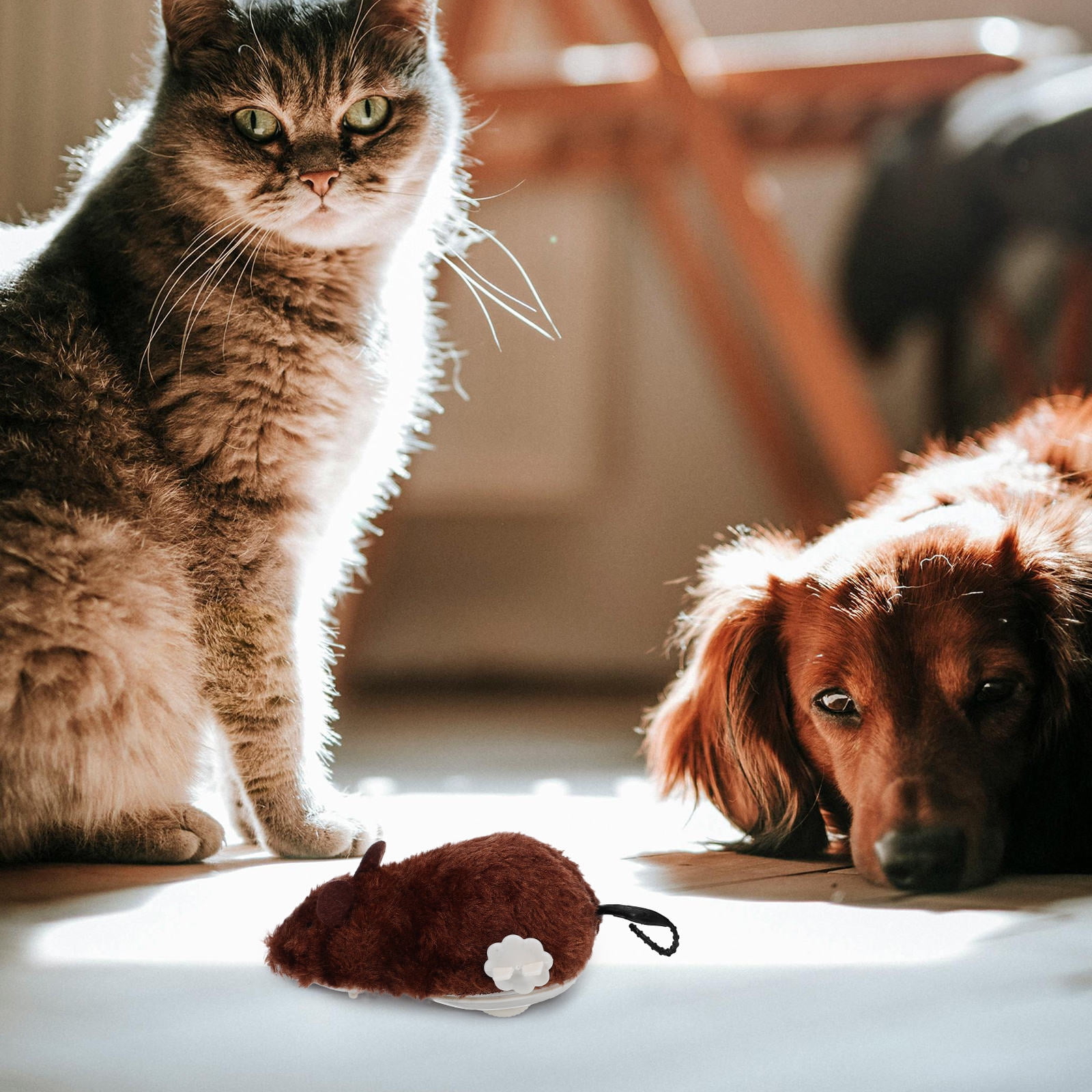 FUEENIRVA classroom reward Wind Up Mice Toys Assorted Color Clockwork ...