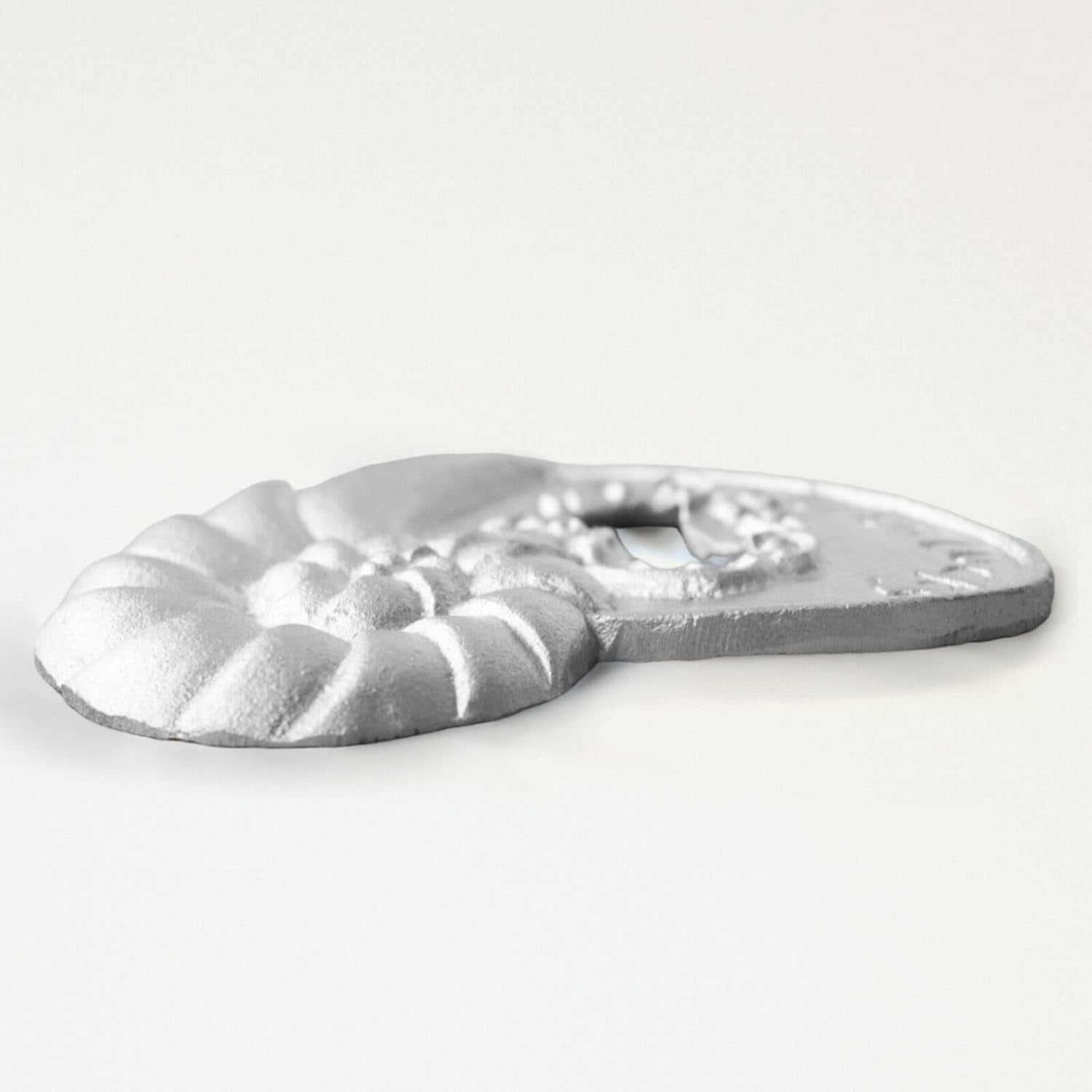 FUGEE-Conch Bottle Openers, Handmade Beer Open Tool with Silver Finish ...