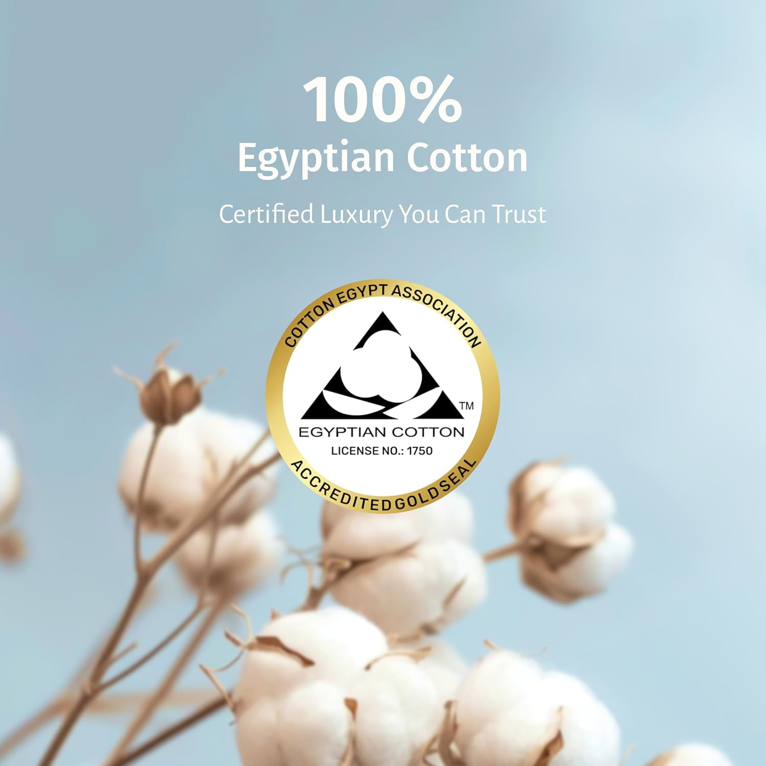 FUGee-100% Egyptian Cotton Pillow Covers Standard Size/Queen Size Set ...