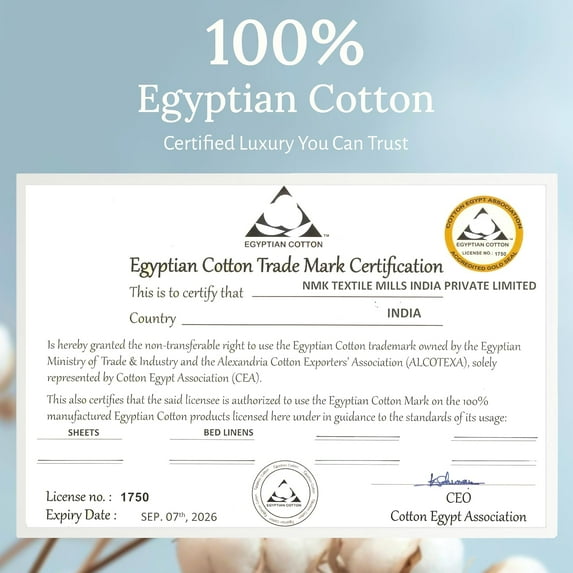 FUGee-Pillow Cases Queen/Standard - 100% Egyptian Cotton Pillow Cases ...