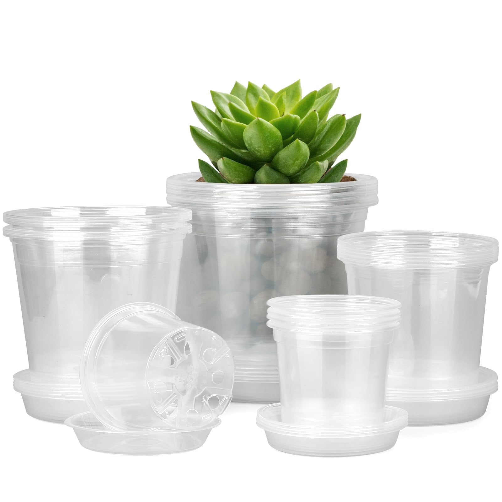 FUIJOL 4/5/6/7 Inch Clear JKF25 Nursery Pots for Plants with Sacuers 20 ...