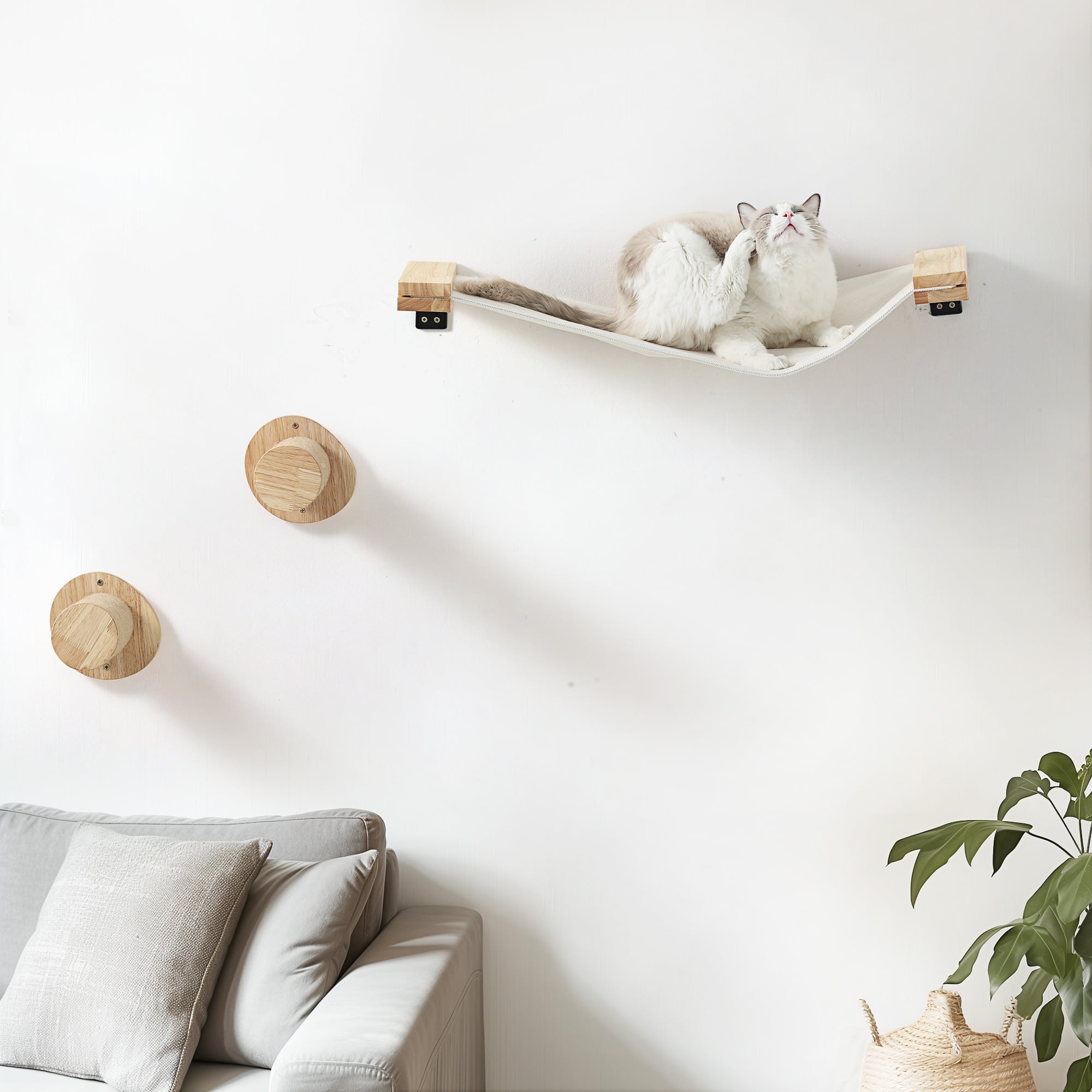 FUKUMARU 3-Pack Cat Wall Climbing Shelves, Solid Rubber Wood Cat Perch ...