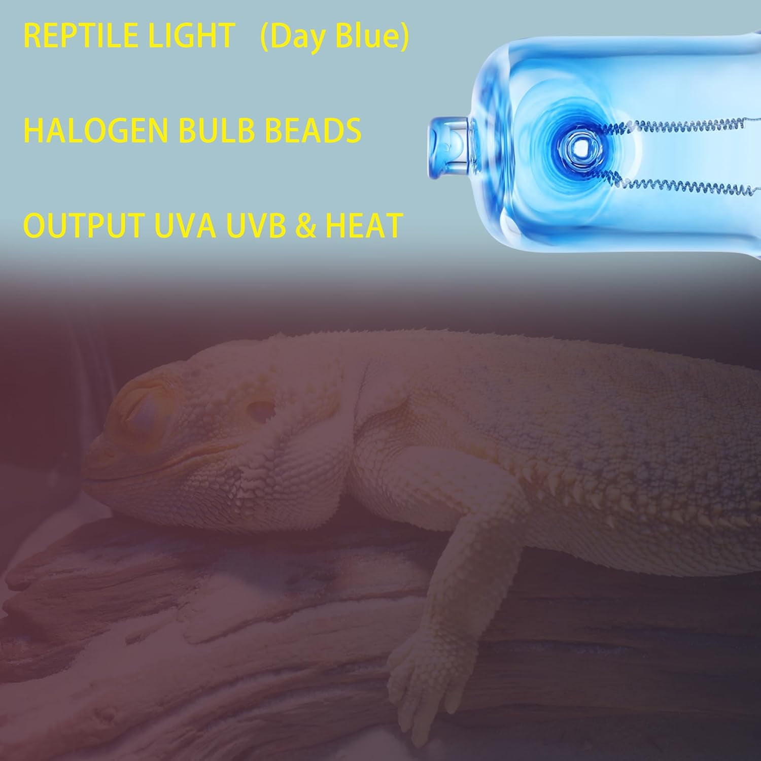 FUN-3 Pack UVA UVB Reptile Light Halogen Bulbs Beads Heat Lamp (50 Watt) Day Blue - Walmart.com