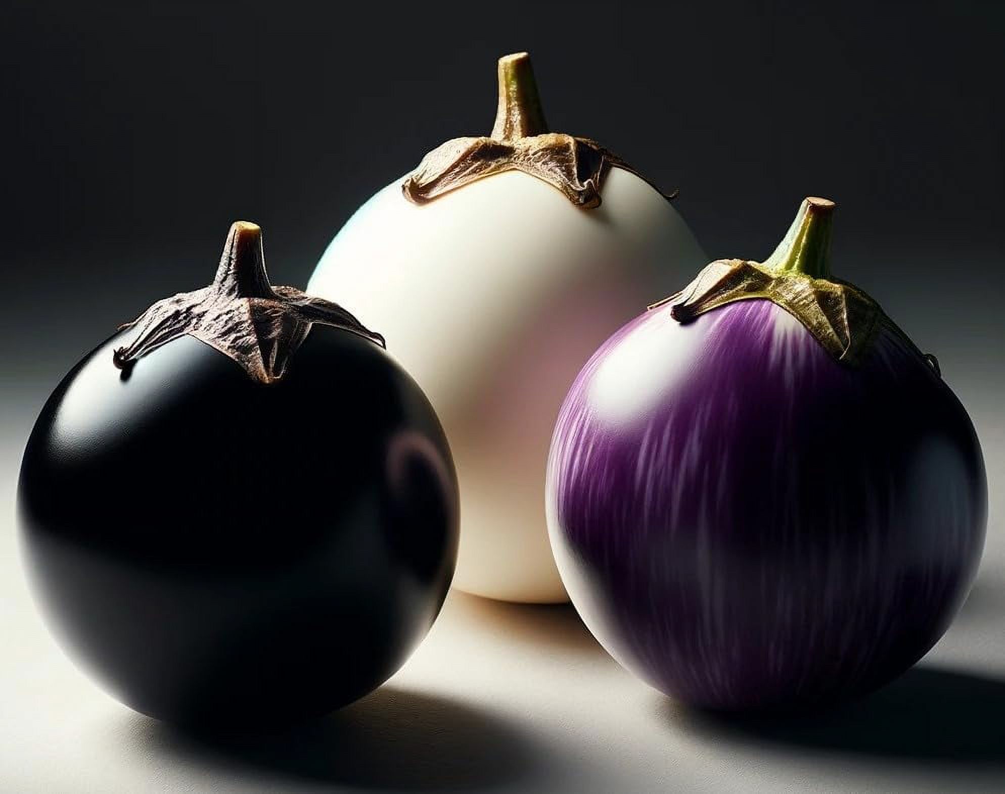 FUN AND GROW SEEDS: Seeds Eggplant Round MHD1Mix Non GMO Heirloom ...