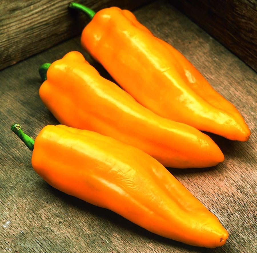 FUN AND GROW SEEDS: Seeds Giant Sweet Bell Pepper Yellow Horn Non GMO ...