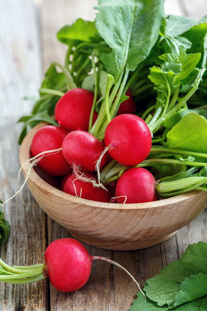 FUN AND GROW TWE5 SEEDS: Seeds Reb Ball Radish 25 Days Non GMO Heirloom ...