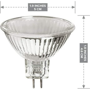 2 Prong Light Bulb