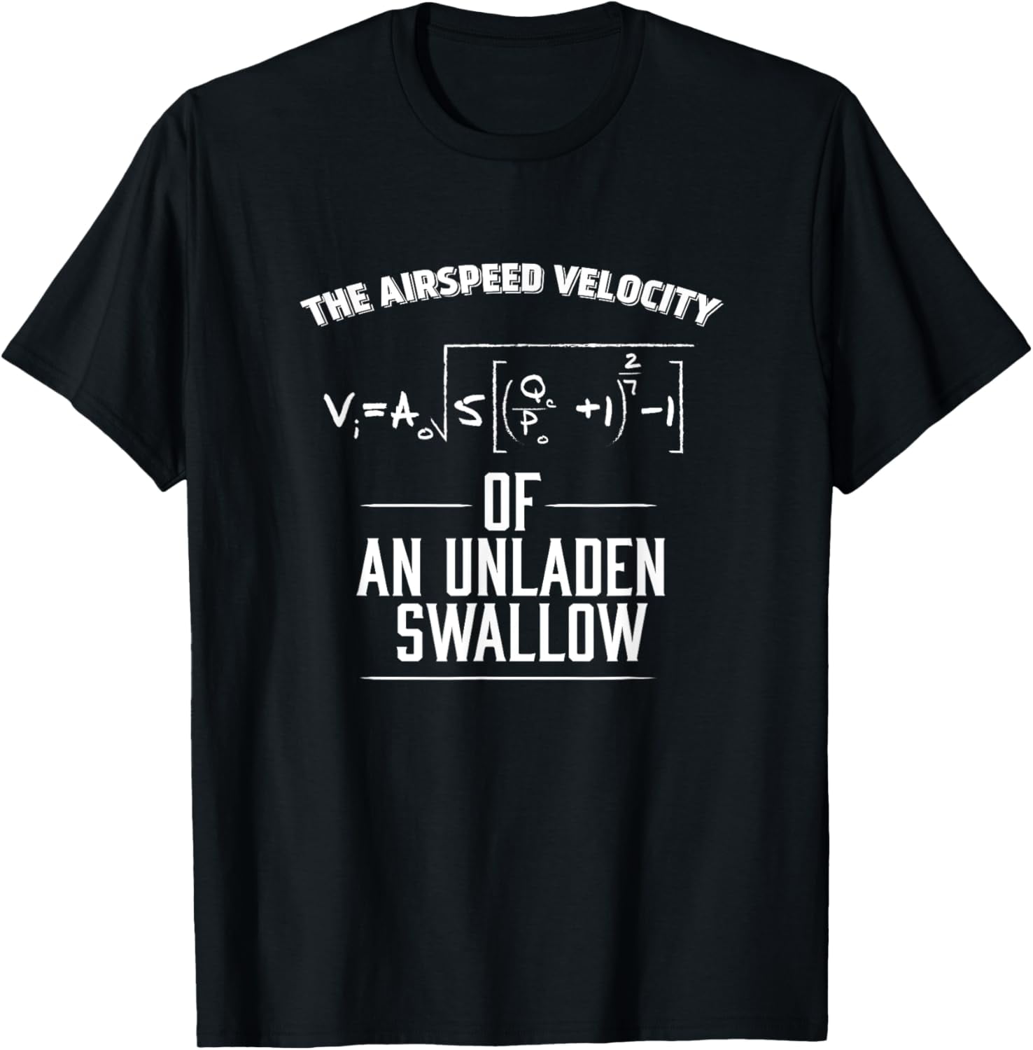 FUNNY AIRSPEED VELOCITY OF AN UNLADEN SWALLOW T-SHIRT Maths T-Shirt ...