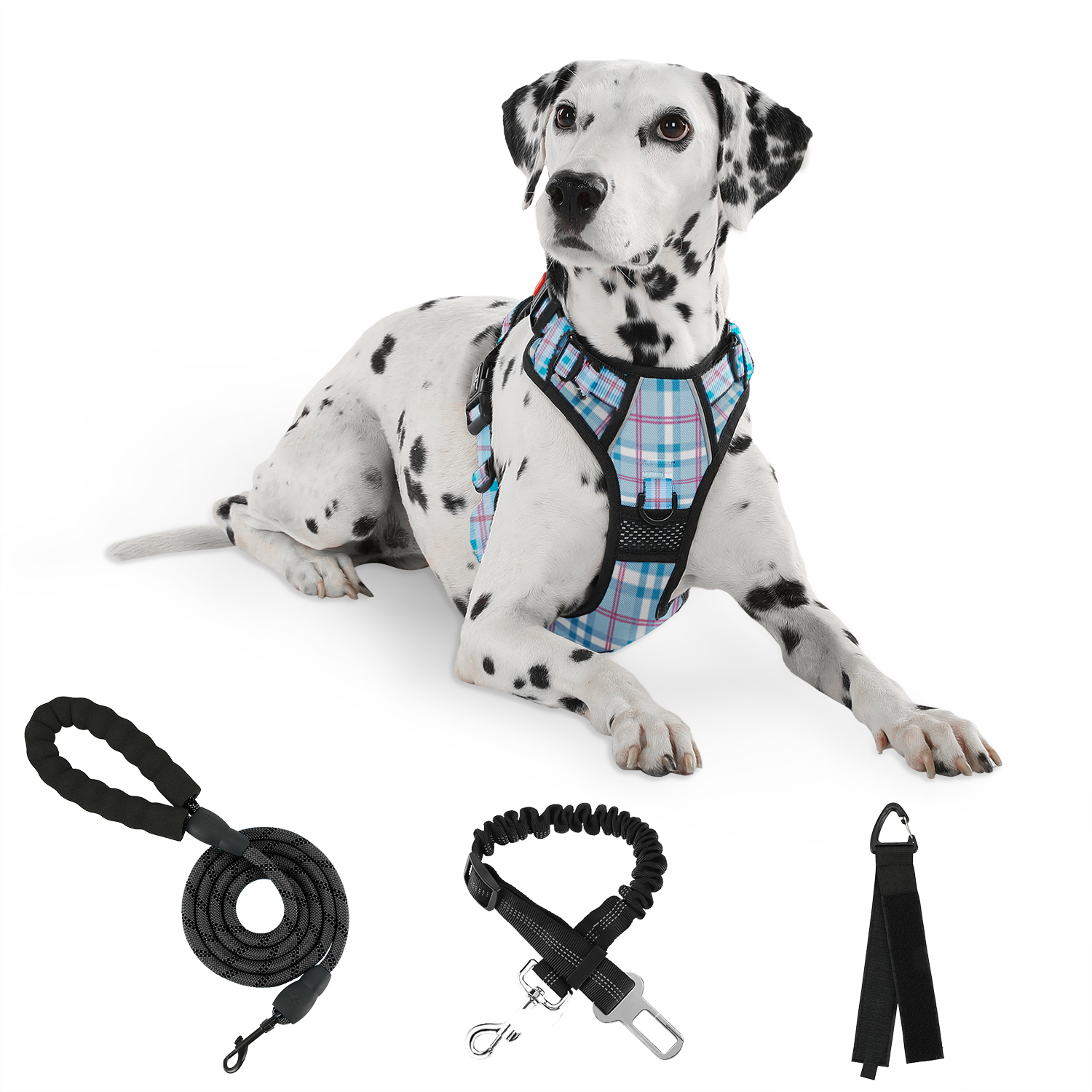 DMISOCHR Cat Harness and Leash Set Escape Proof Cat Vest Harness for ...