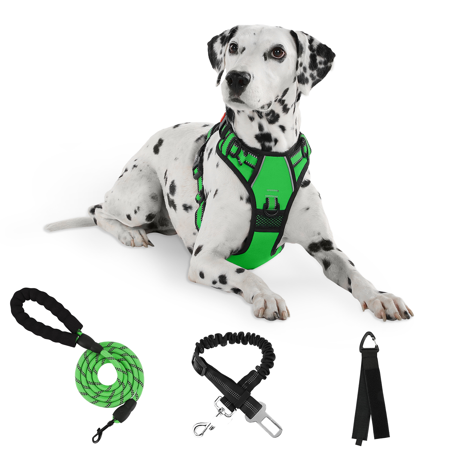 rabbitgoo Cat Harness and Leash for Walking, Escape Proof Soft ...