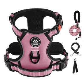Pink Girl Dog Harness Small Cute Puppy Harness with Bow, Bust 16.53 ...