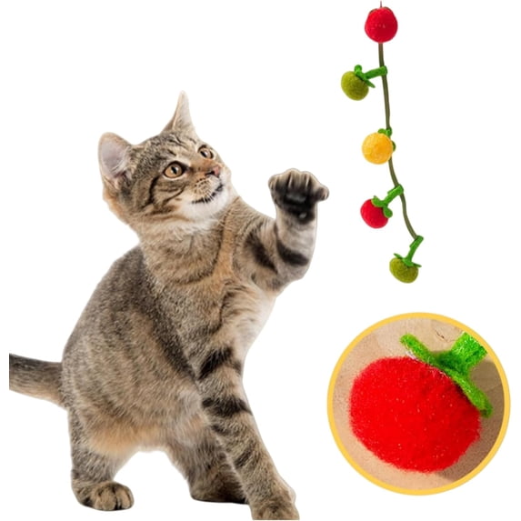 FUTARRIO Interactive Fruit-Shaped Catnip Toy String, Cat Teaser Squeaky ...