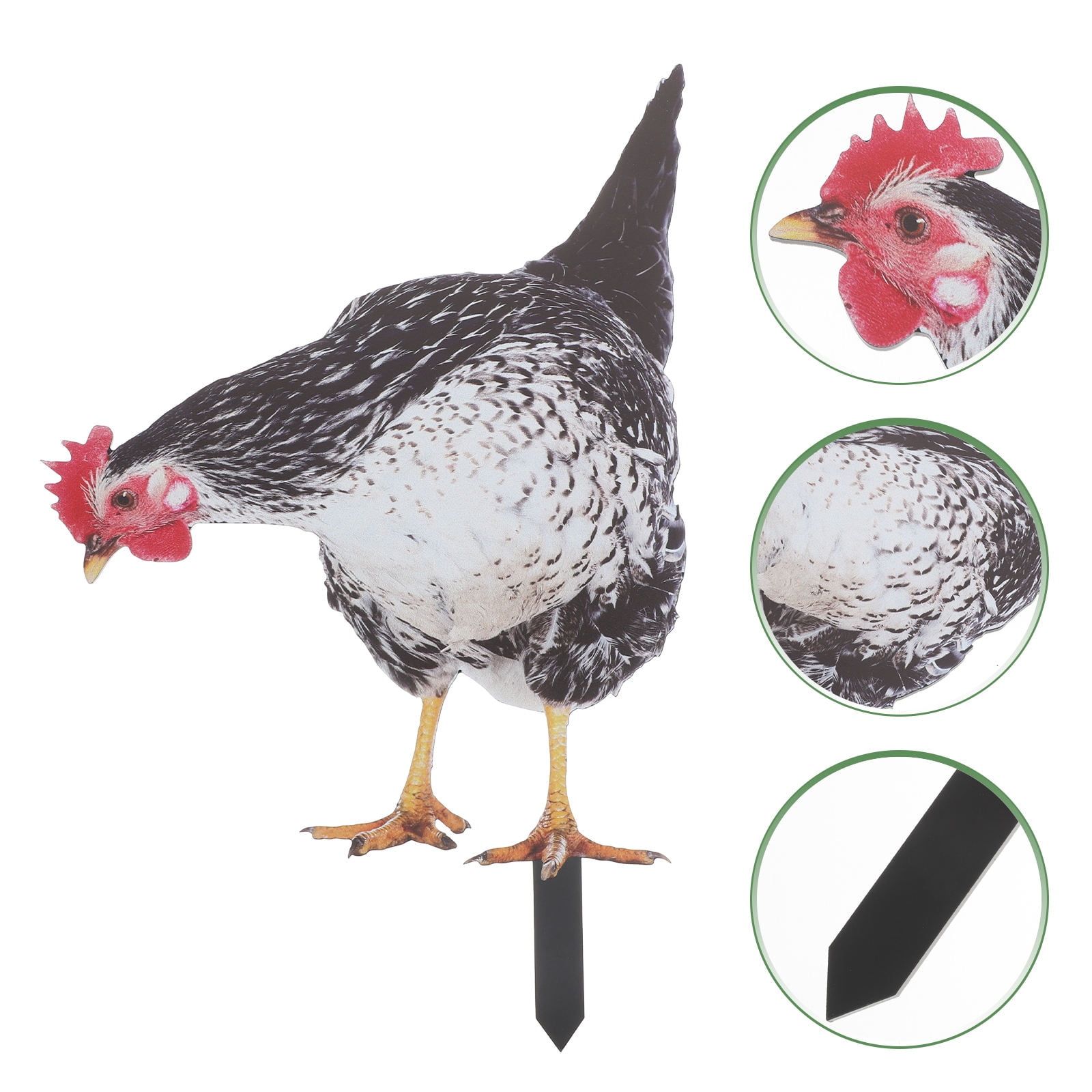 FUTUREORYY 1Pack Acrylic 3D Hen Shape Chicken Yard Art for Outdoor ...