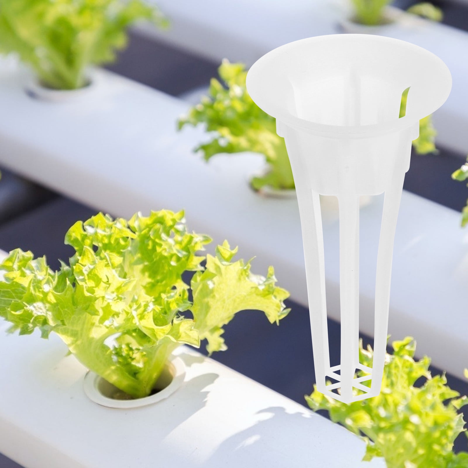 FUTUREORYY 50 Pcs Hydroponic for Vegetable Planting Basket 4.40X4.40X6 ...