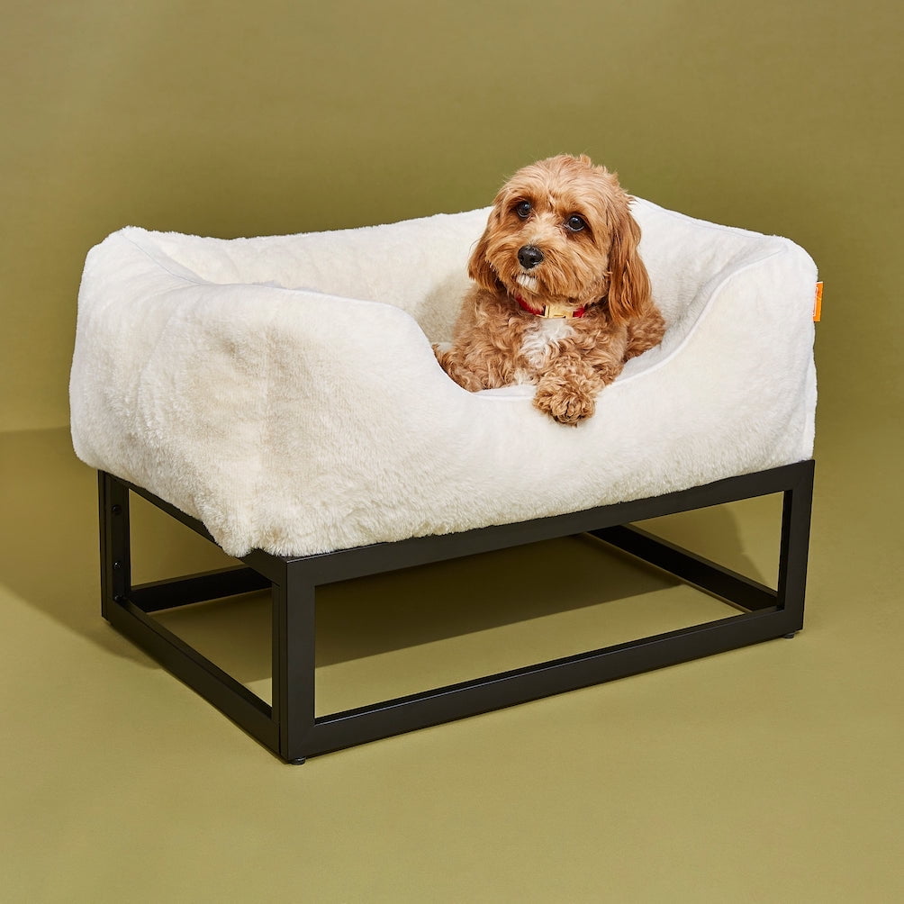 FUZI, LUXURY ELEVATED DOG BED, SMALL, CREAM PLUSH + BLACK METAL BASE ...