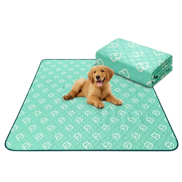 Free Shipping! FXW Washable Pee Pads for Dogs, 63" x 63" Indoor Dog Pee ...