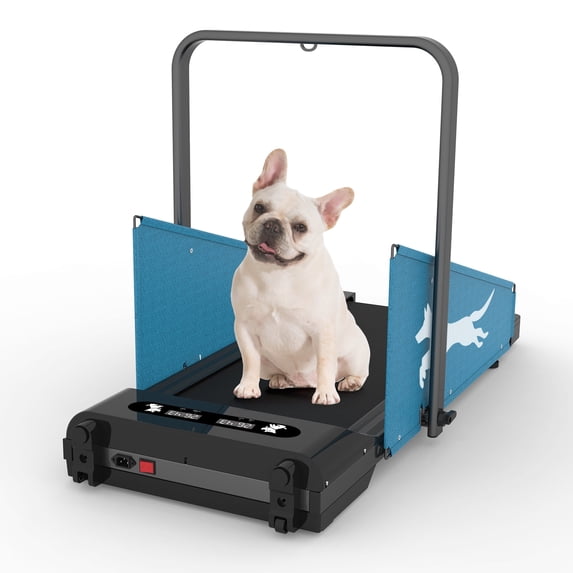 FYC Fitness Master Pro Dog Treadmill, Heavy Duty, High Weight Capacity ...