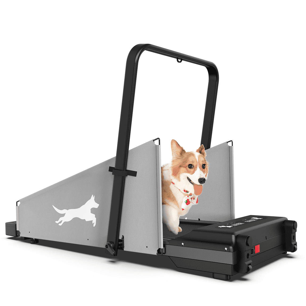 FYC Pet Dog Treadmill Portable Exercise Treadmill Running Machine for ...