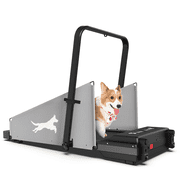 Dog Exercise Machine