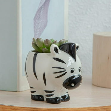 Small Ceramics Animals Flower Pot Succulent Plants Flowers Cactus ...