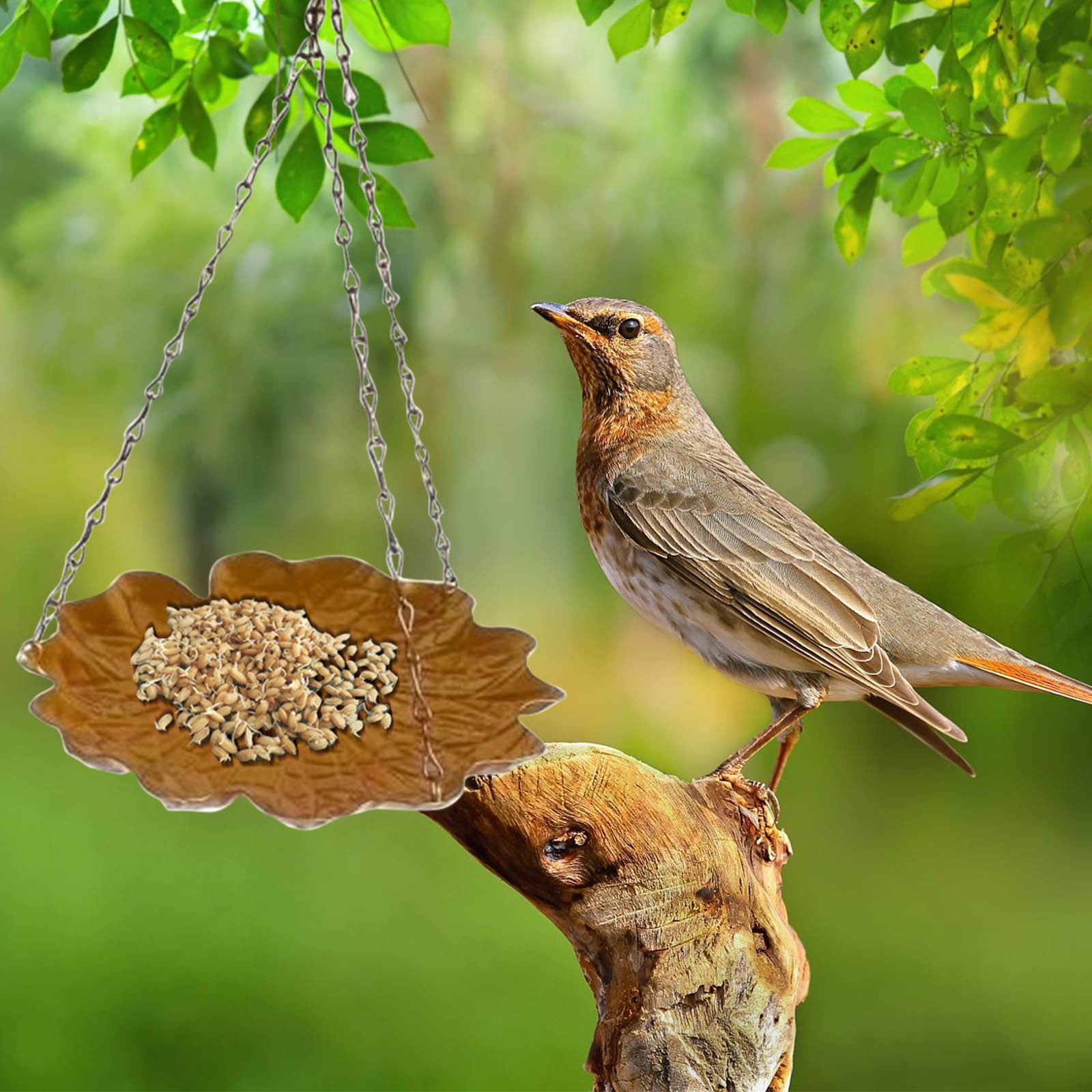 FYHALE Bird Feeder Squirrel Proof Hanging Bird Bath Iron Art Bird ...