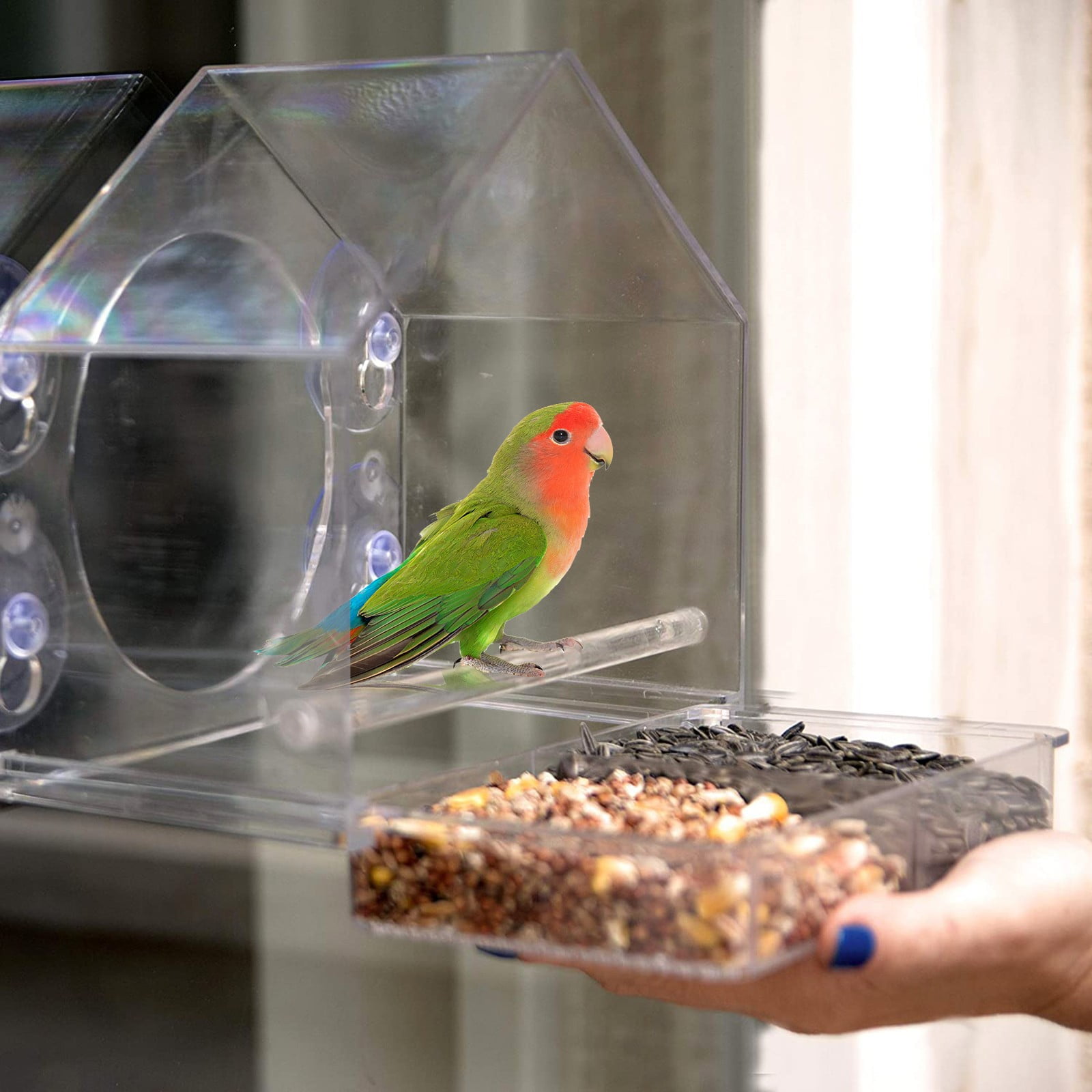 FYHALE Squirrel Proof Bird Feeders for Outdoors Hanging Acrylic Bird ...