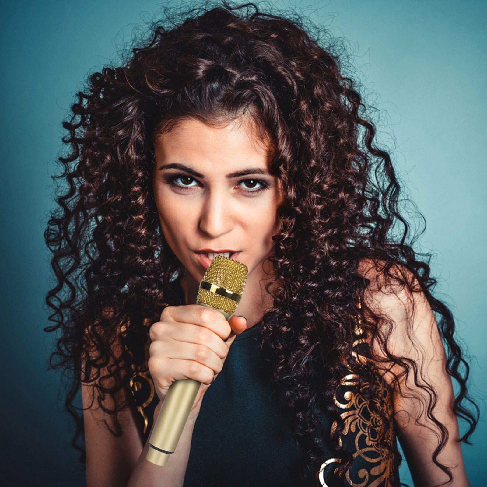 FYHALE Wireless Microphone Home Karaoke Outdoor Activities Audio TV ...