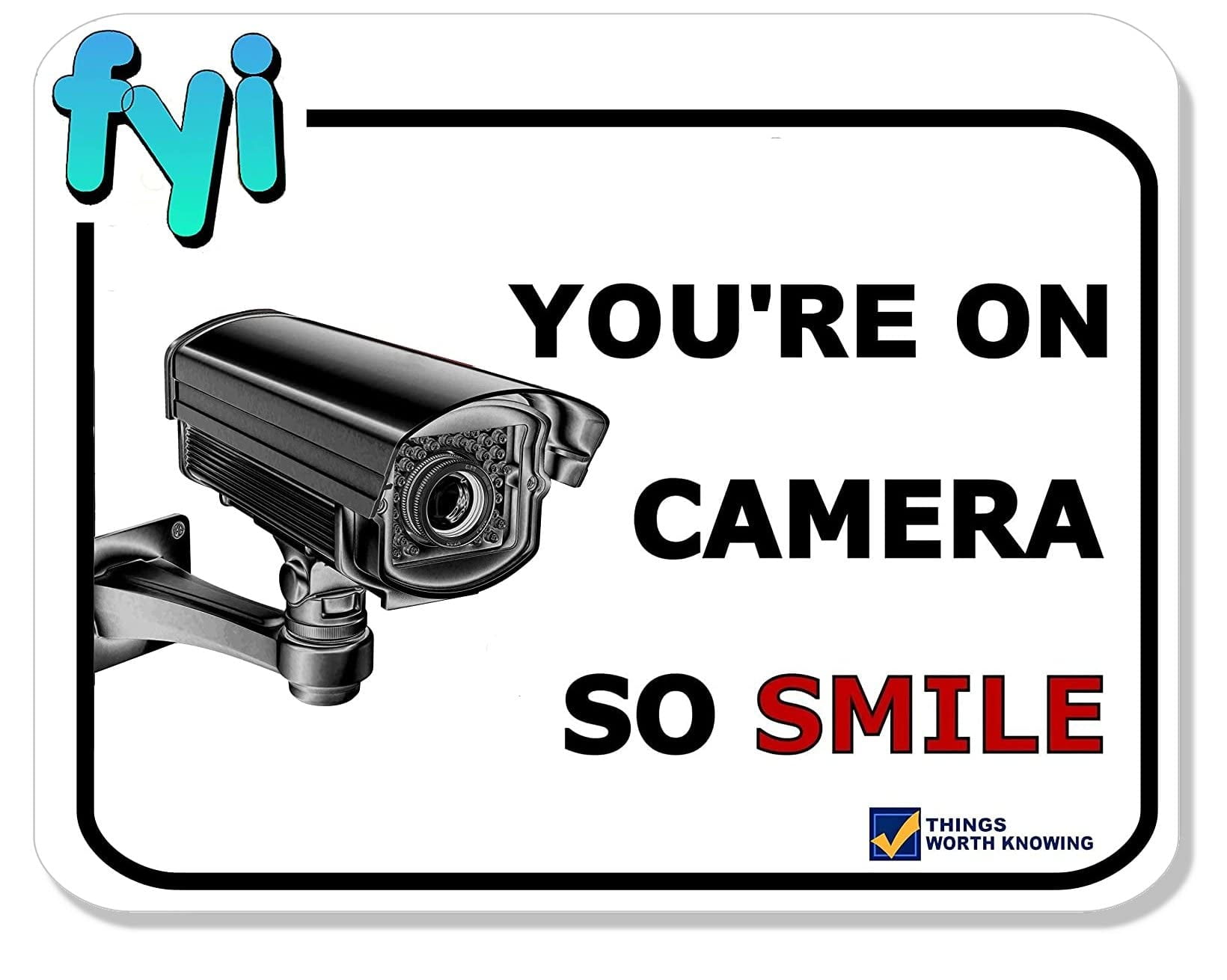 FYI - You're on Camera So Smile 11.5 inch x 9 inch Funny Laminated Sign ...