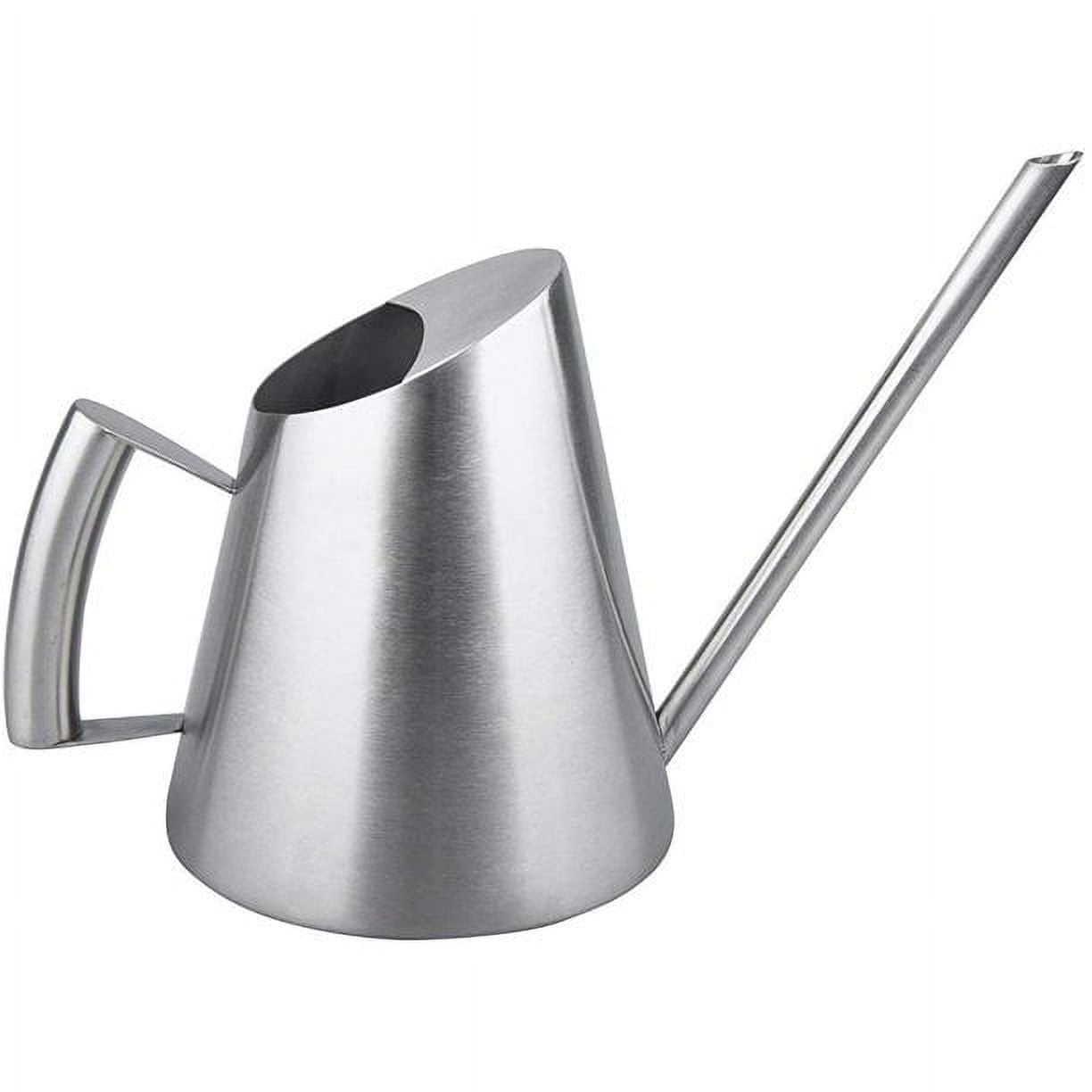 FZFLZDH Watering Can SUS304 Stainless Steel Indoor House Plants Long Spout,Small Stainless Steel ...