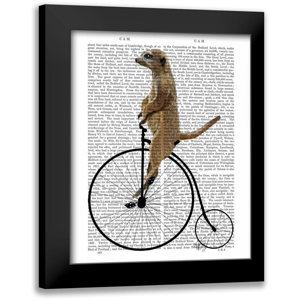 Fab Funky 12x14 Black Modern Framed Museum Art Print Titled - Meerkat ...