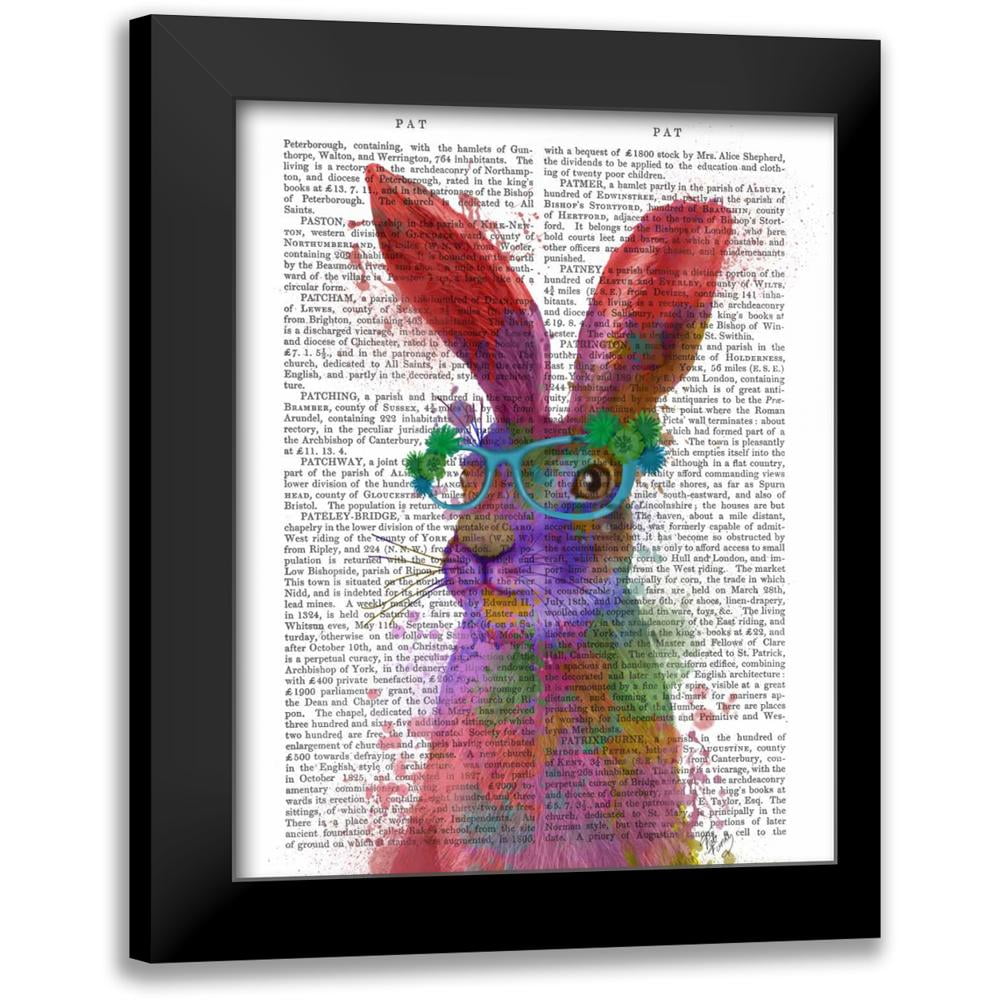 Fab Funky 12x14 Black Modern Framed Museum Art Print Titled - Rainbow ...