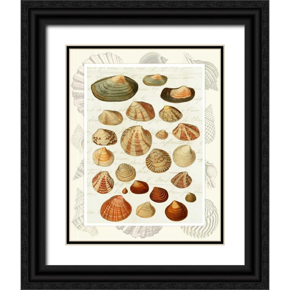Fab Funky 12x14 Black Ornate Wood Framed with Double Matting Museum Art Print Titled - Shells on ...