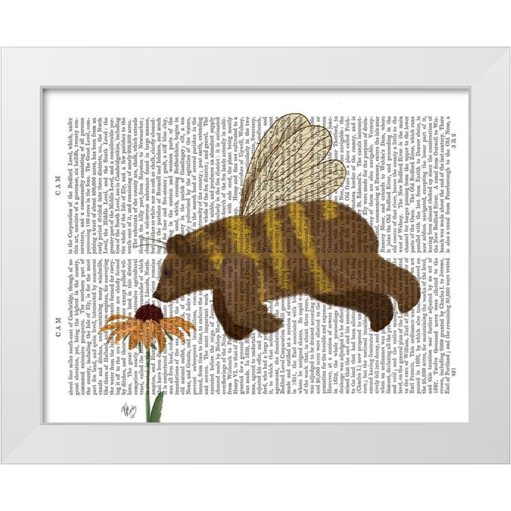 Fab Funky 14x12 White Modern Wood Framed Museum Art Print Titled - Bear ...