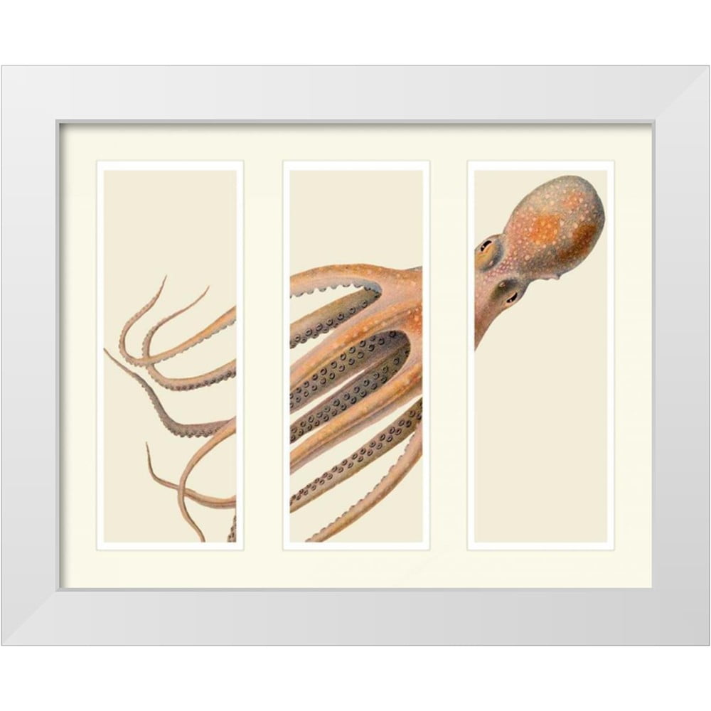 Fab Funky 14x12 White Modern Wood Framed Museum Art Print Titled ...