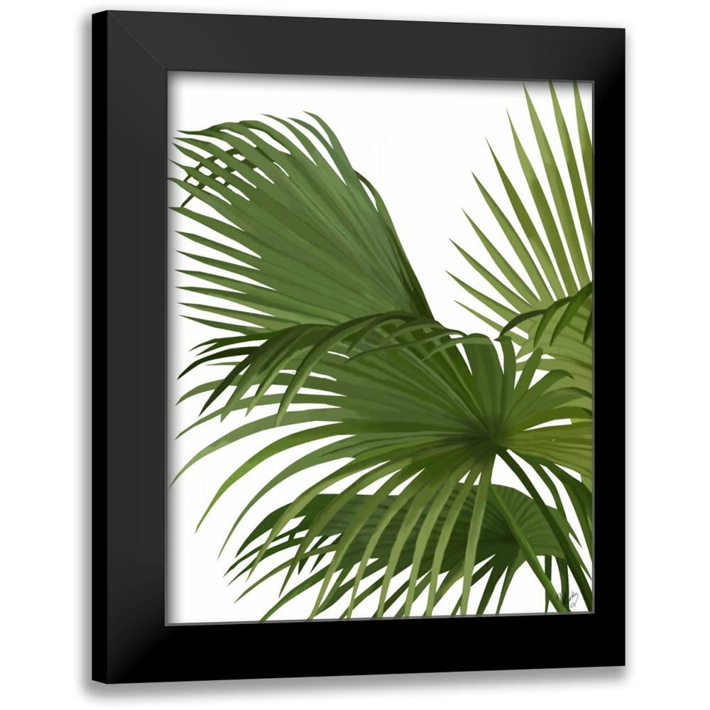 Fab Funky 15x18 Black Modern Framed Museum Art Print Titled - Fan Palm ...