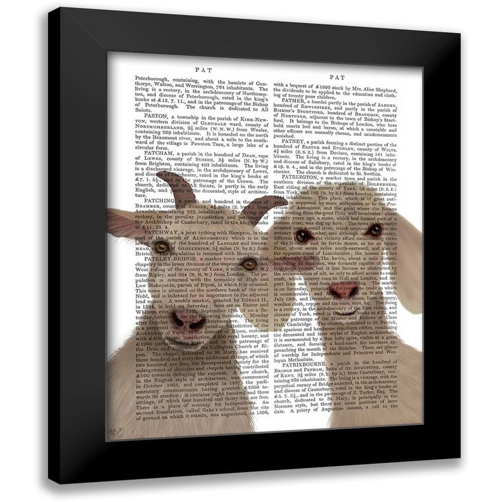 Fab Funky 15x18 Black Modern Framed Museum Art Print Titled - Goat Duo ...