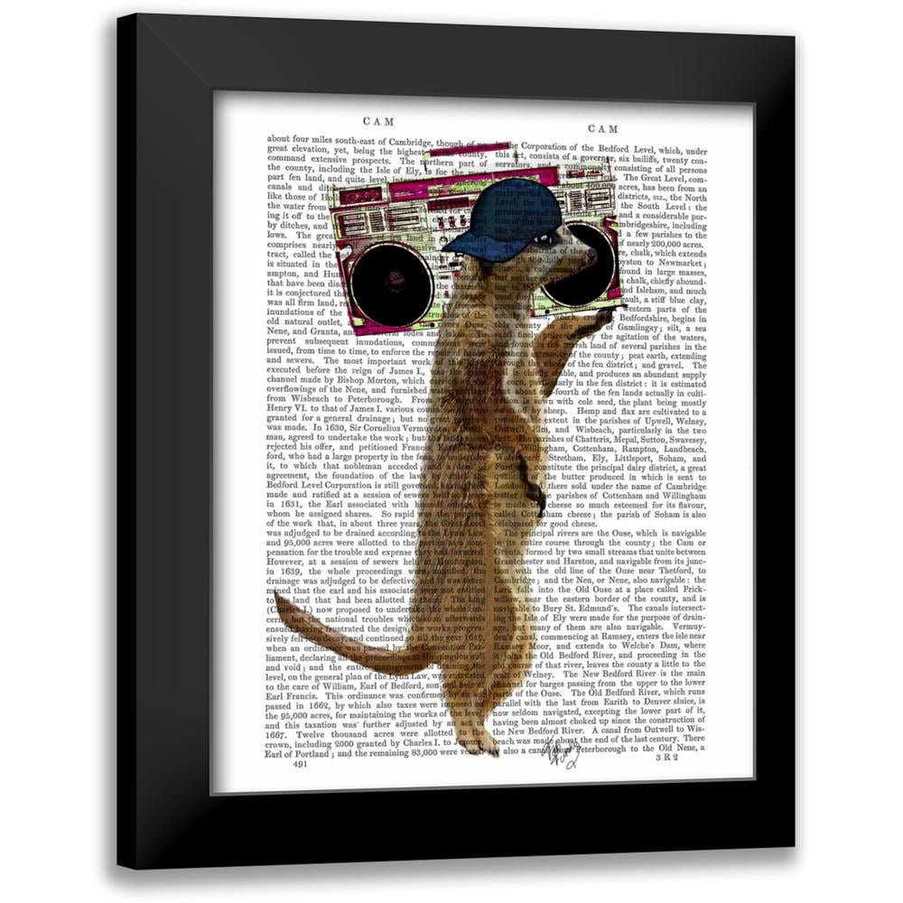Fab Funky 15x18 Black Modern Framed Museum Art Print Titled - Meerkat ...