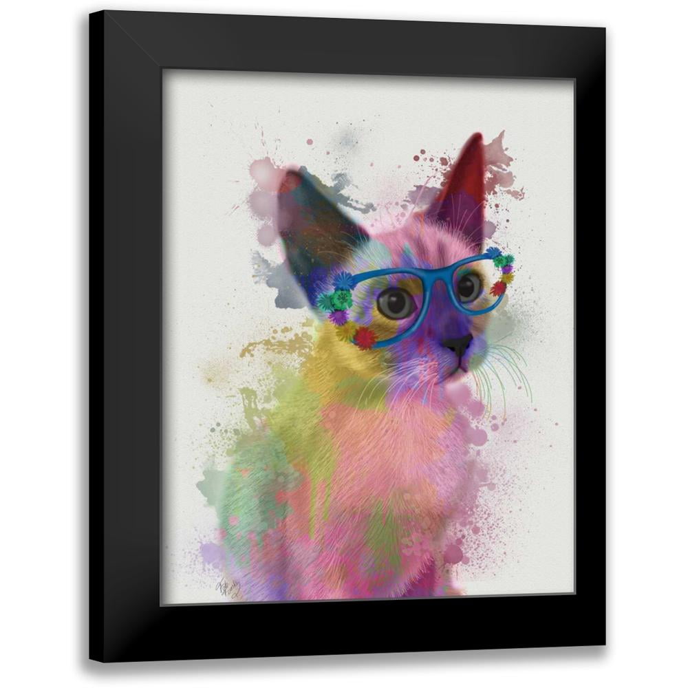Fab Funky 15x18 Black Modern Framed Museum Art Print Titled - Rainbow ...