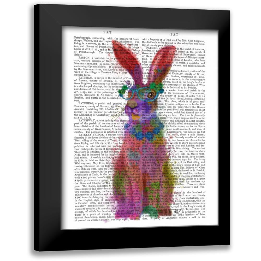 Fab Funky 15x18 Black Modern Framed Museum Art Print Titled - Rainbow ...