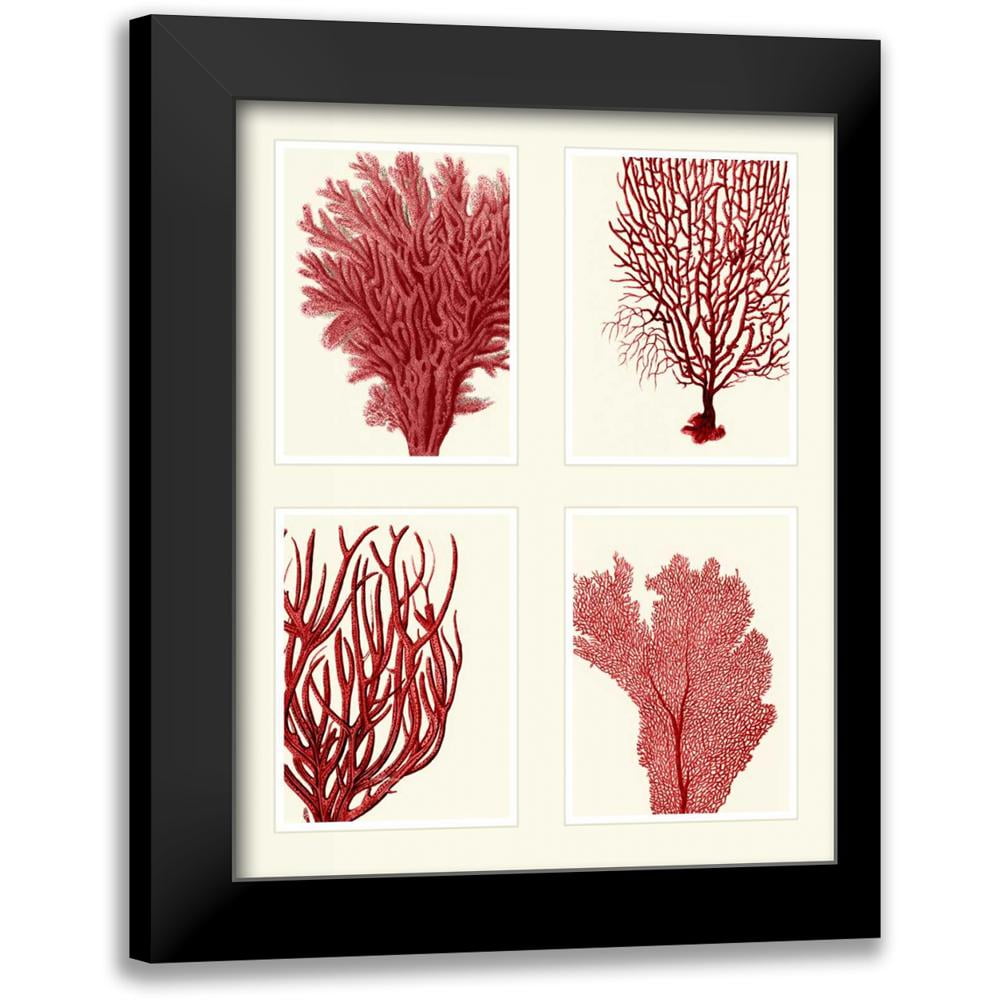 Fab Funky 15x18 Black Modern Framed Museum Art Print Titled - Red Coral ...