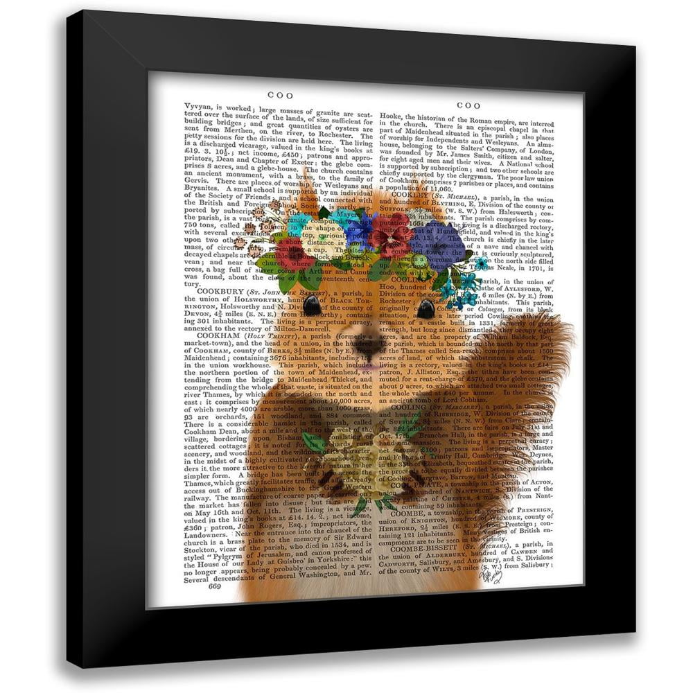 Fab Funky 15x18 Black Modern Framed Museum Art Print Titled - Squirrel ...