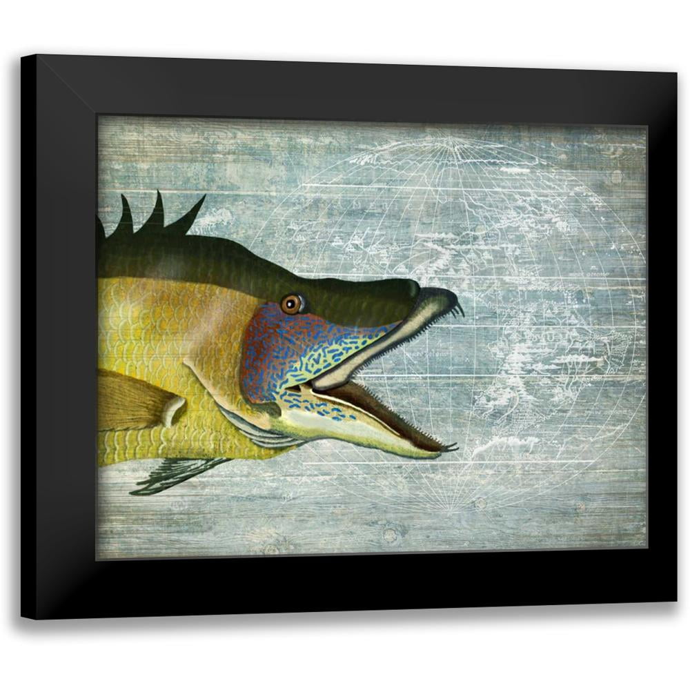 Fab Funky 18x15 Black Modern Framed Museum Art Print Titled - Hog Fish ...