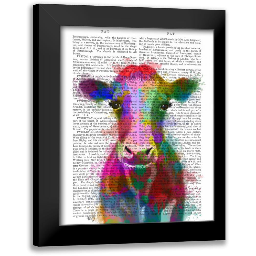 Fab Funky 20x24 Black Modern Framed Museum Art Print Titled - Rainbow ...