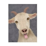 Fab Funky 'Funny Farm Goat 2' Canvas Art - Walmart.com