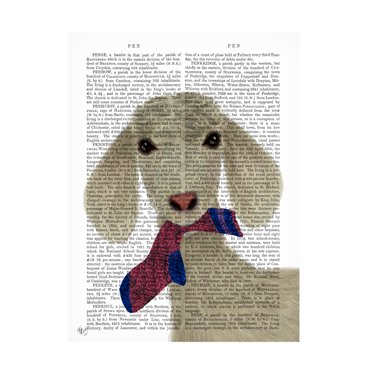 Fab Funky 'Funny Farm Goat 2' Canvas Art - Walmart.com