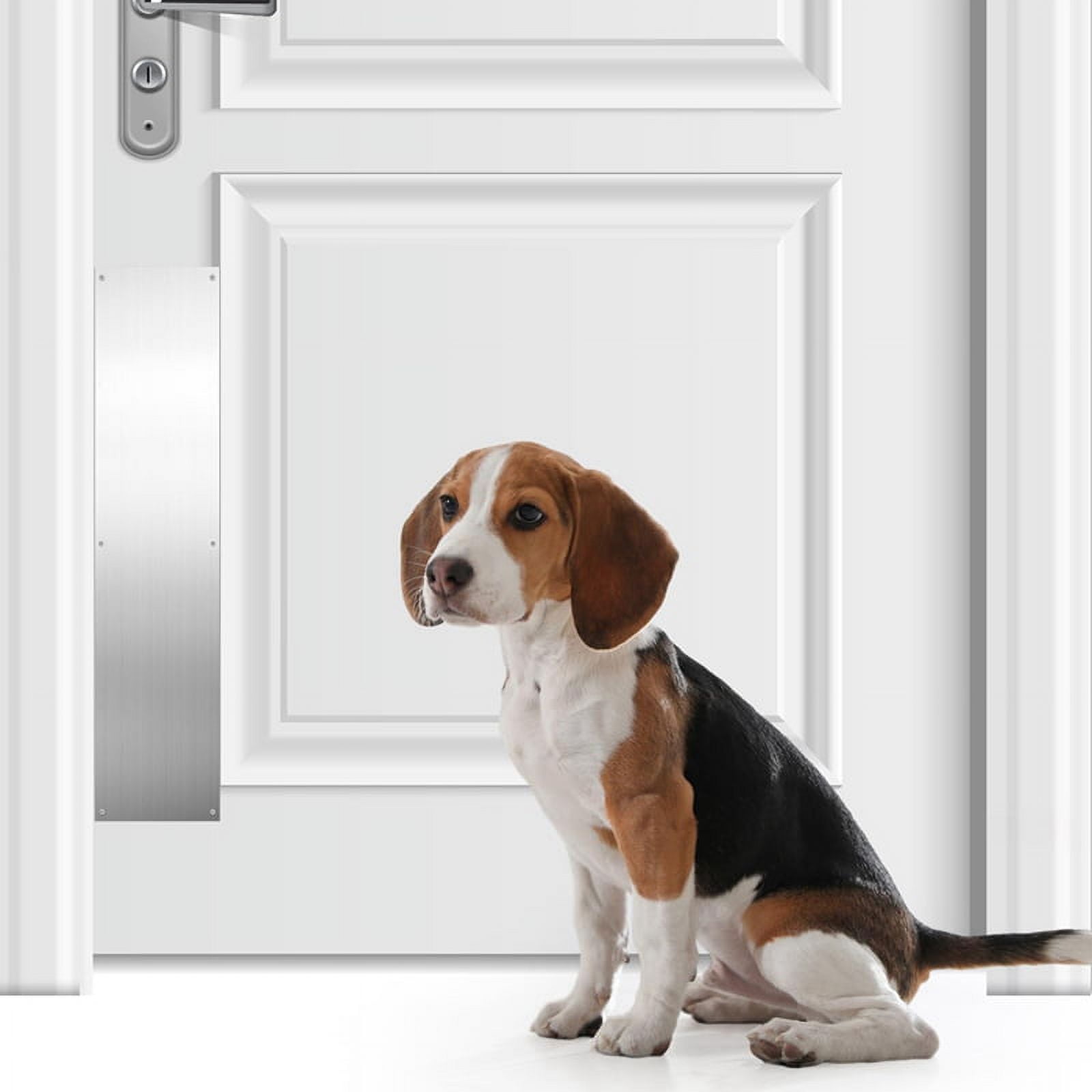 Fabbay, Stainless Steel Silver Kick Plate 2 Pieces - Walmart.com