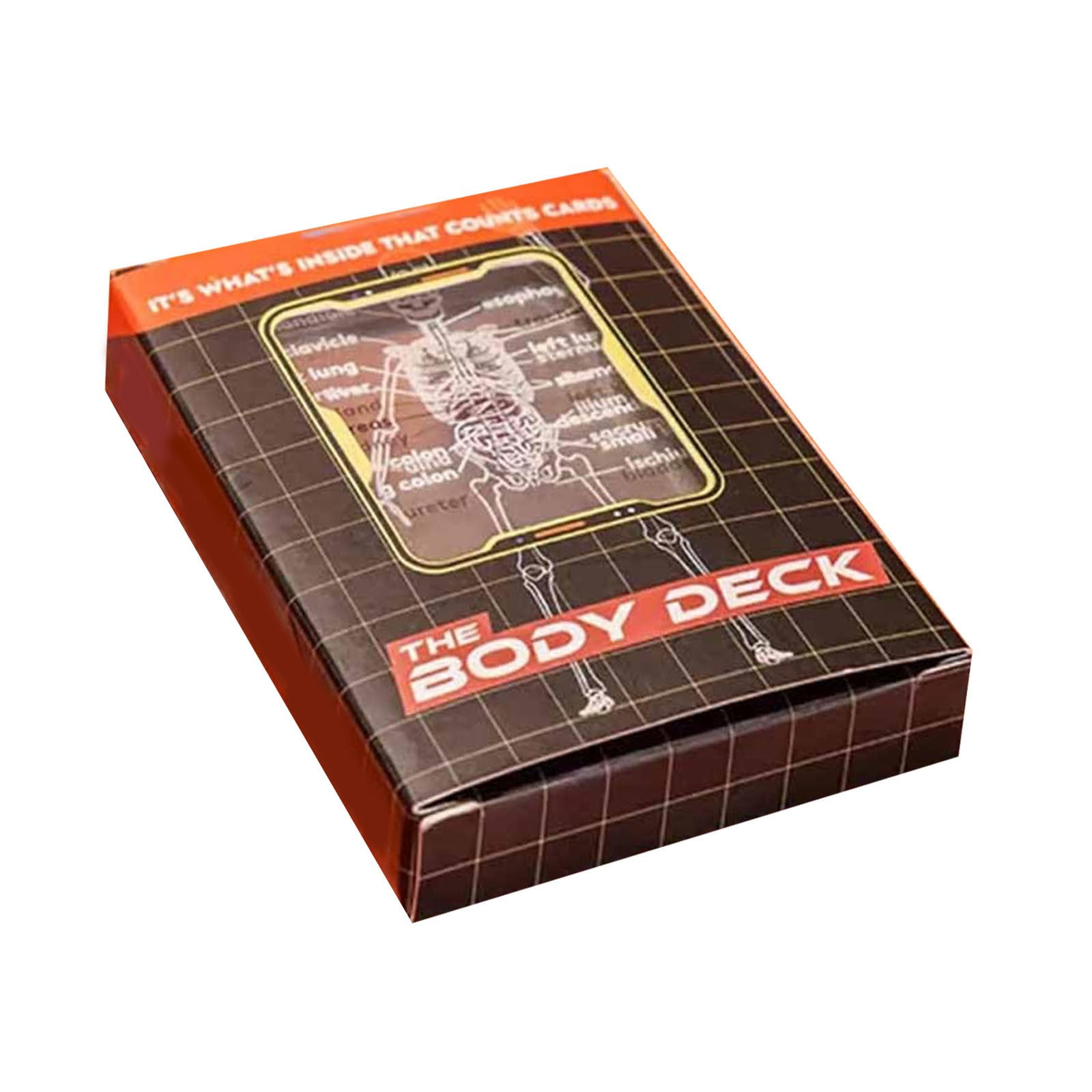 Fabiurt The Body Deck,Waterproof Playing Cards of Transparent Human ...