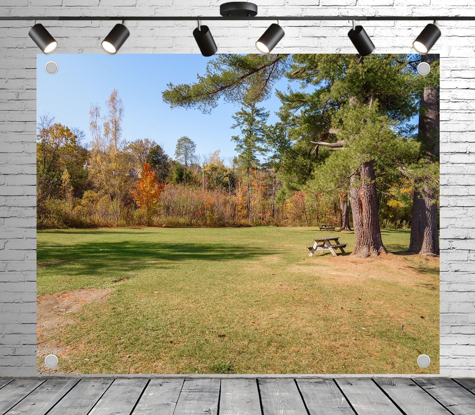 Fabric Autumn Park Lawn Backdrop（Suitable for Home Decoration ...