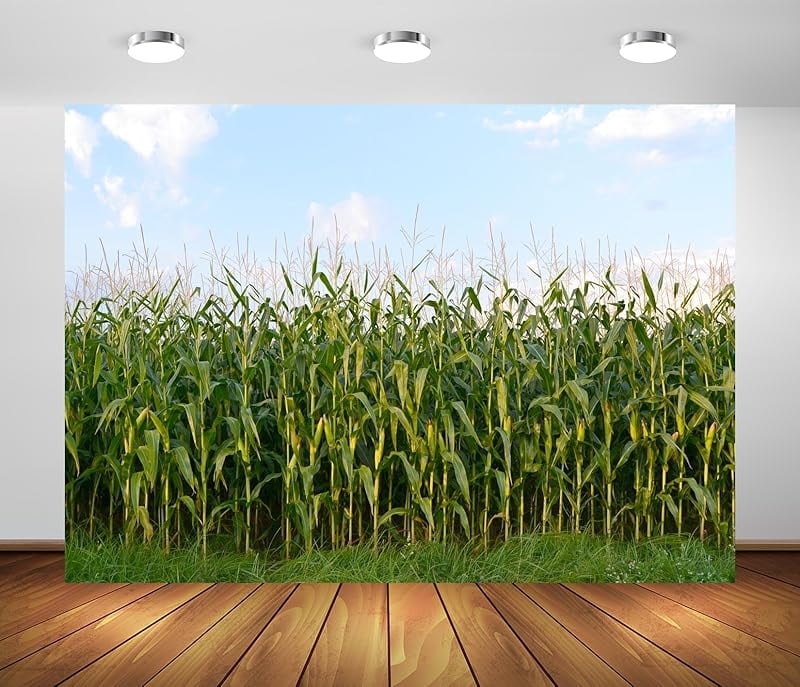 Fabric Cornfield Maze Backdrop Green Corn Stalks Corn Field Countryside ...