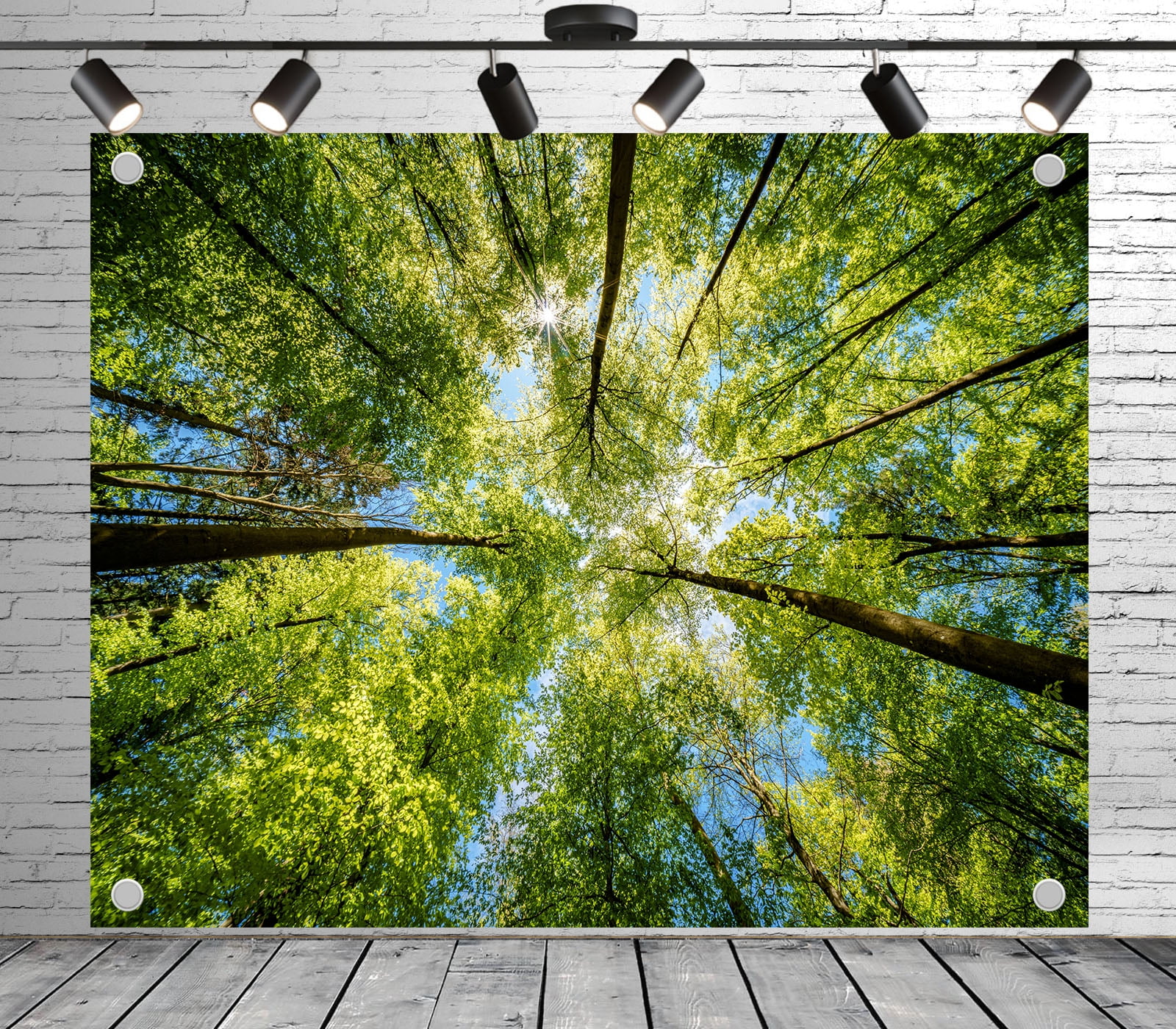 Fabric Forest Canopy & Sunlight Backdrop（Suitable for Home Decoration ...